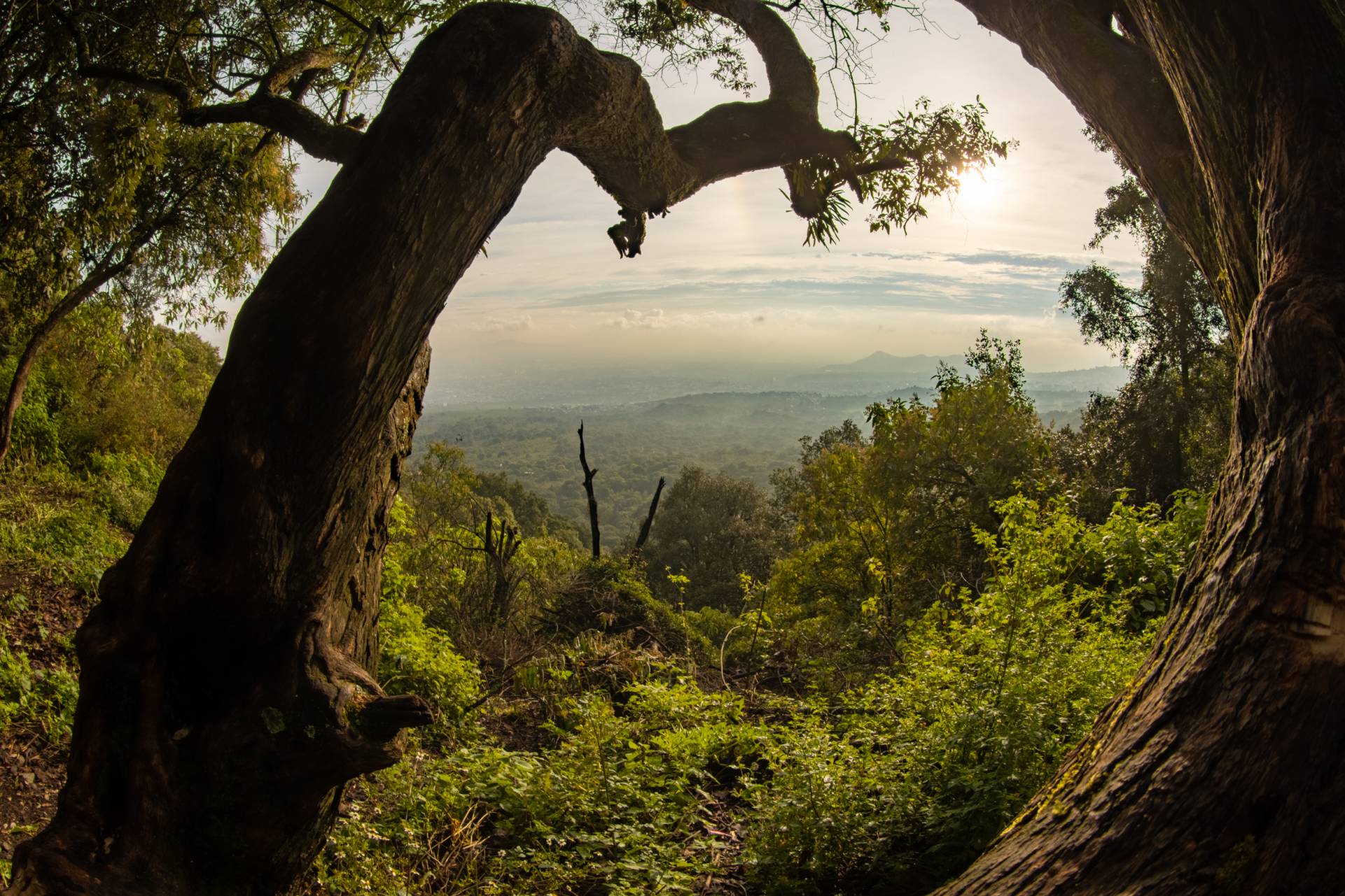 Los atractivos del Parque Ecológico de la Ciudad de México - Dapper ...