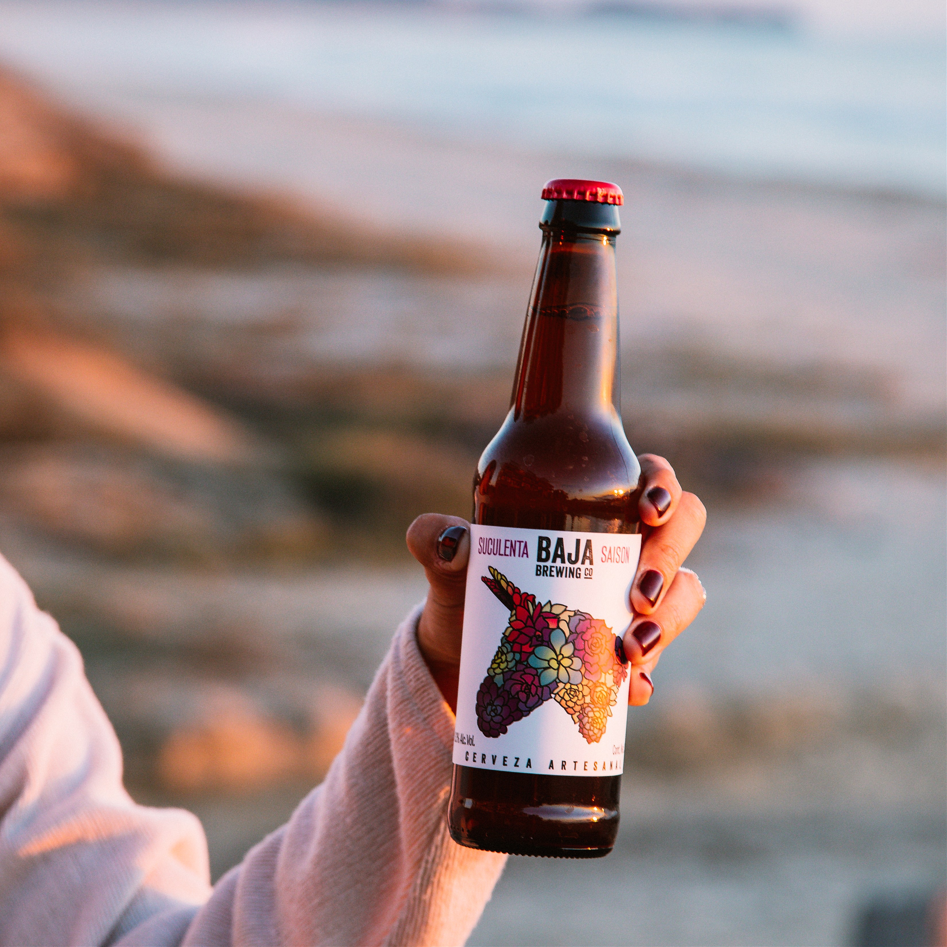 Baja Brewing: un ícono cervecero de Los Cabos - Dapper Magazine