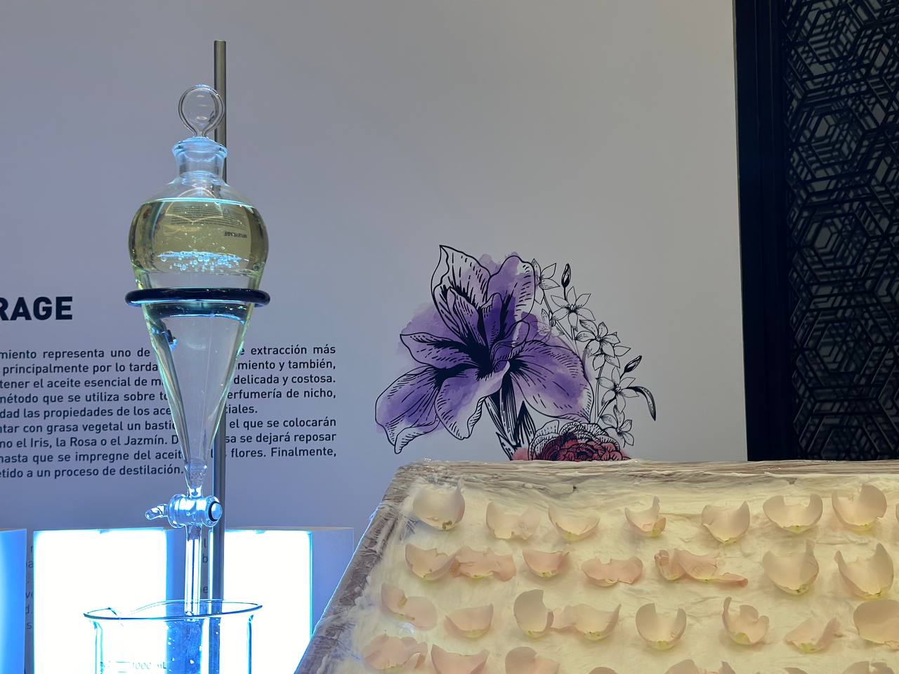 EXIPA 2024: Una cata olfativa - Dapper Magazine